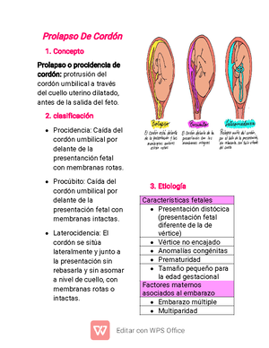 [Solved] Cmo se describe un tacto en una gestante con 10 de dilatacin ...