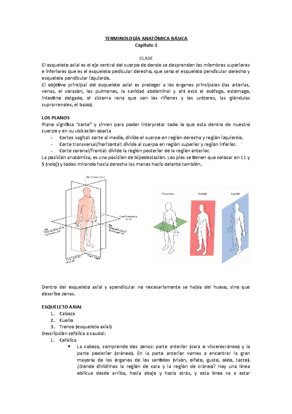 1 Terminología Anatómica Básica - TERMINOLOGÍA ANATÓMICA BÁSICA ...