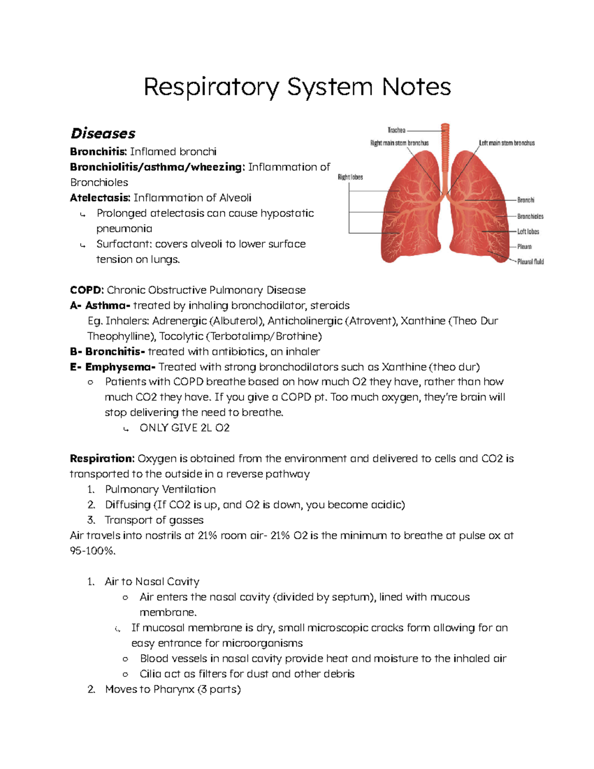 Resp.System. B&S - Respiratory System - Body structure - Respiratory ...