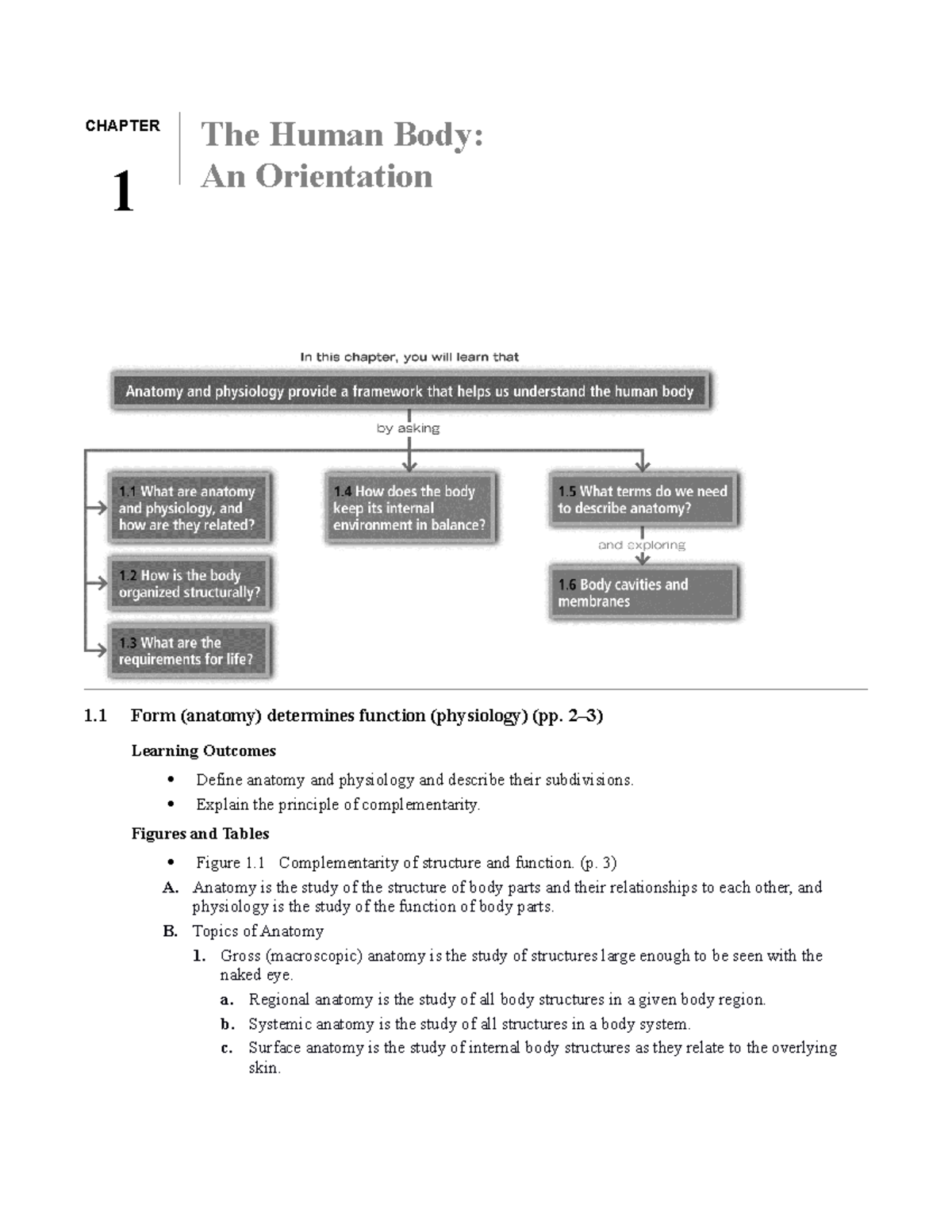 Chapter 1 Anatomy And Physiology I BIO 210 - The Human Body: An ...