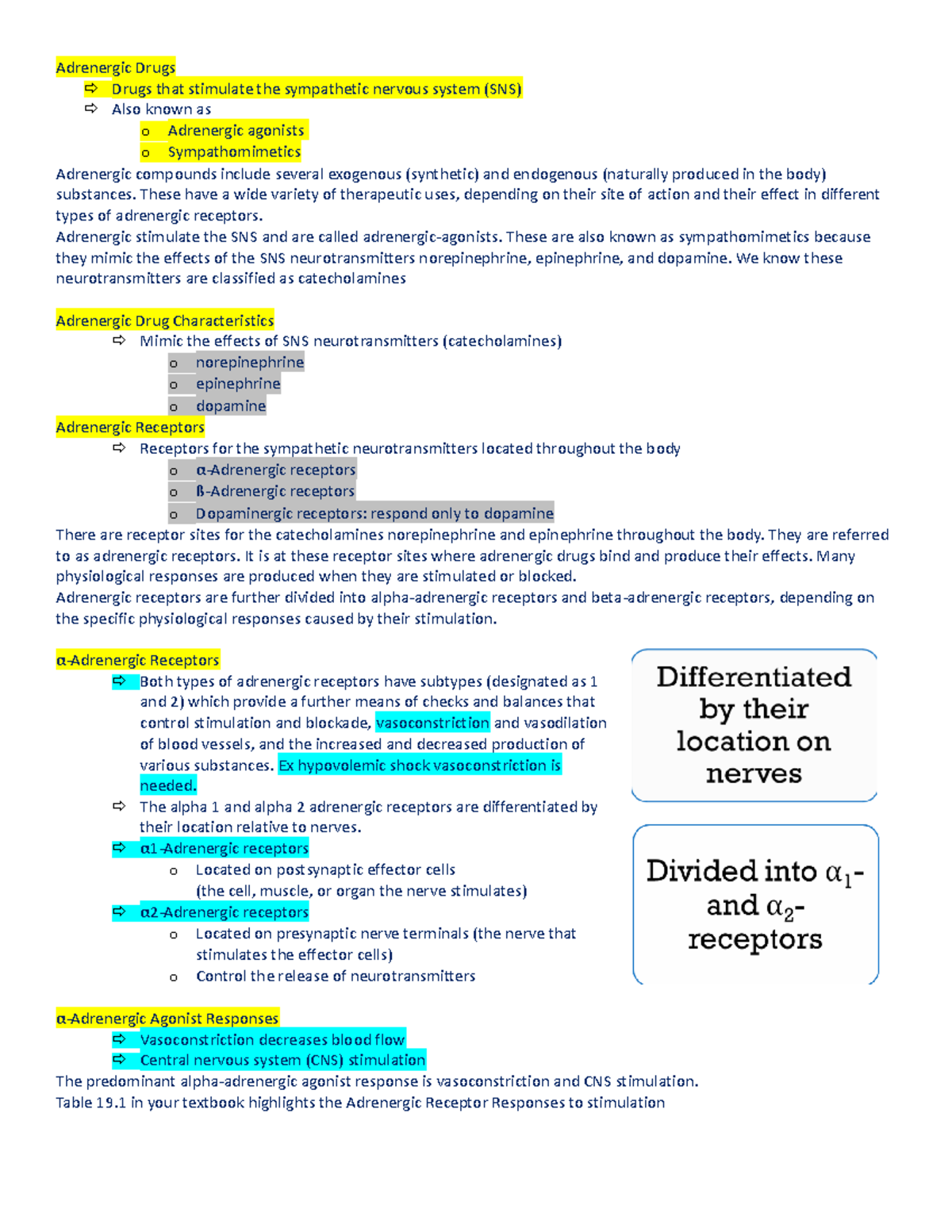 Adrenergic Notes - Adrenergic Drugs Drugs that stimulate the ...