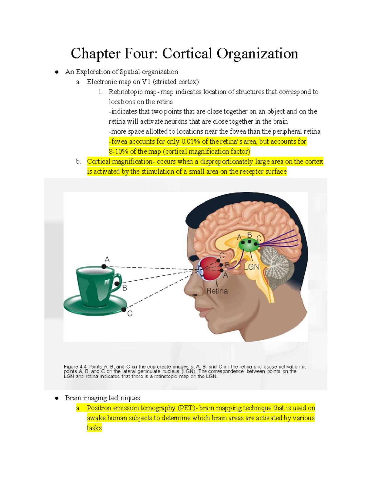 Sensation&Perception Ch - Chapter Four: Cortical Organization An ...