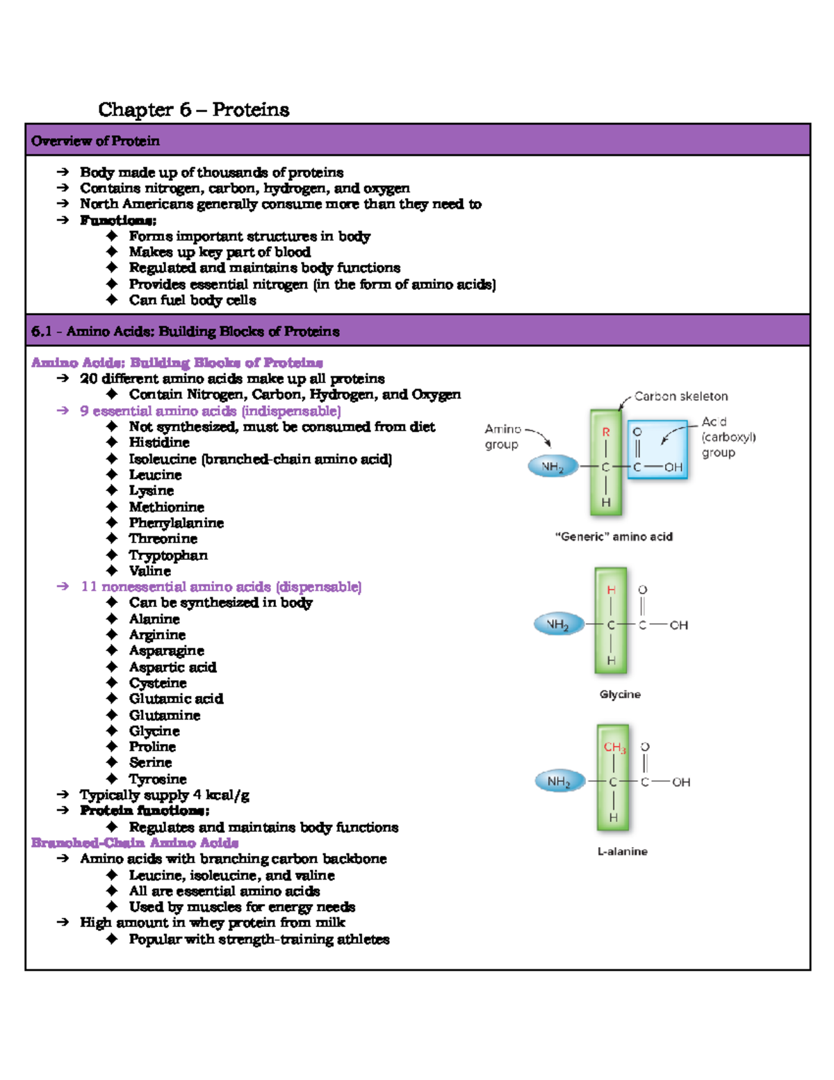 BIO 112 Chapter 6 Notes - Proteins - Chapter 6 – Proteins Overview of ...