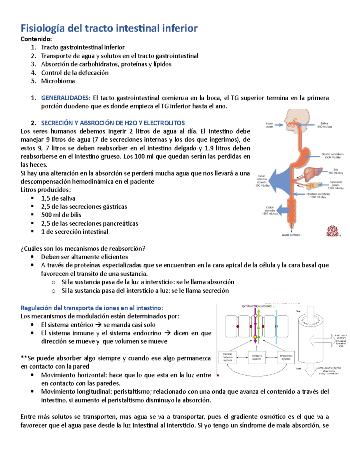 Fisiología del tracto intestinal inferior - Fisiología del tracto ...