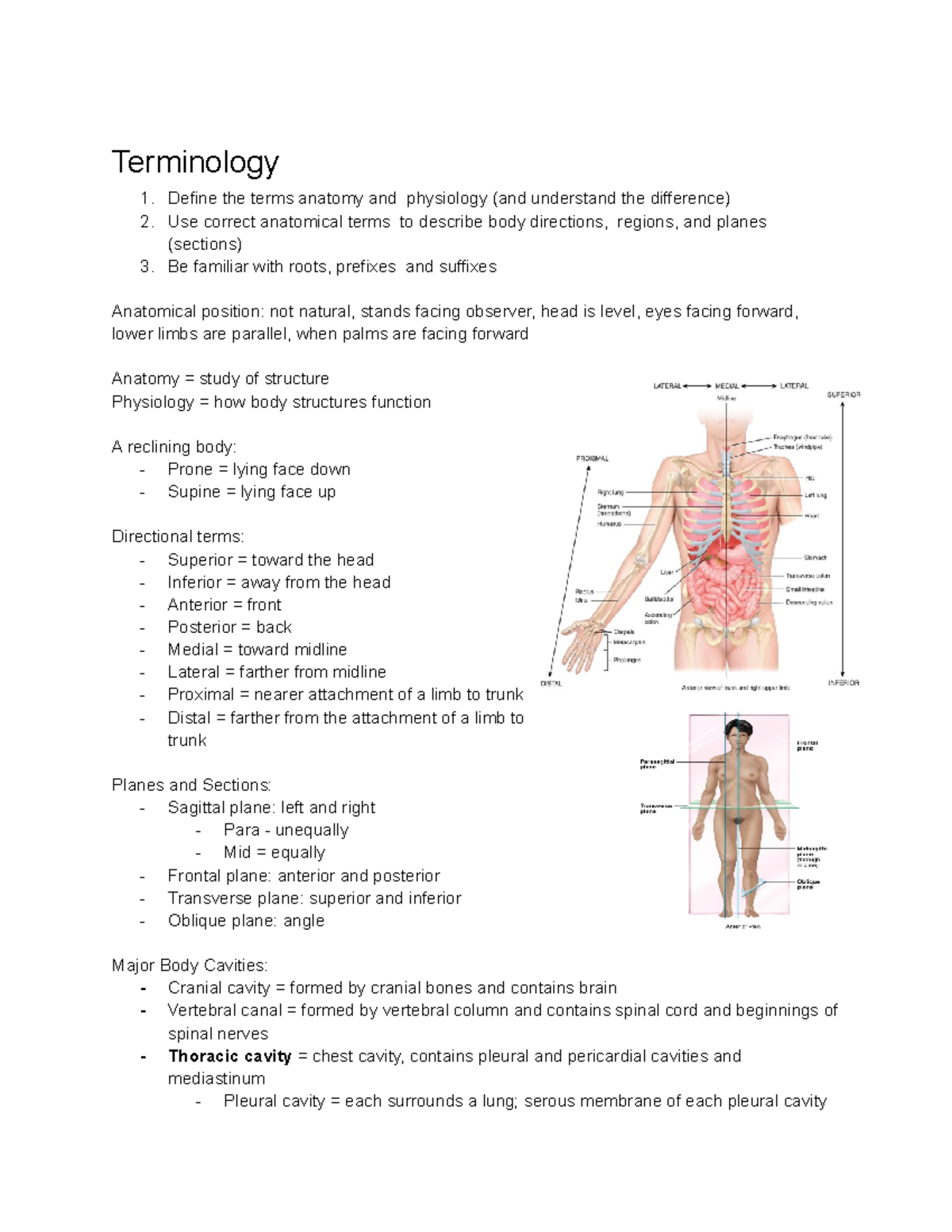 Terminology, Cells and Homeostasis - Terminology Define the terms ...