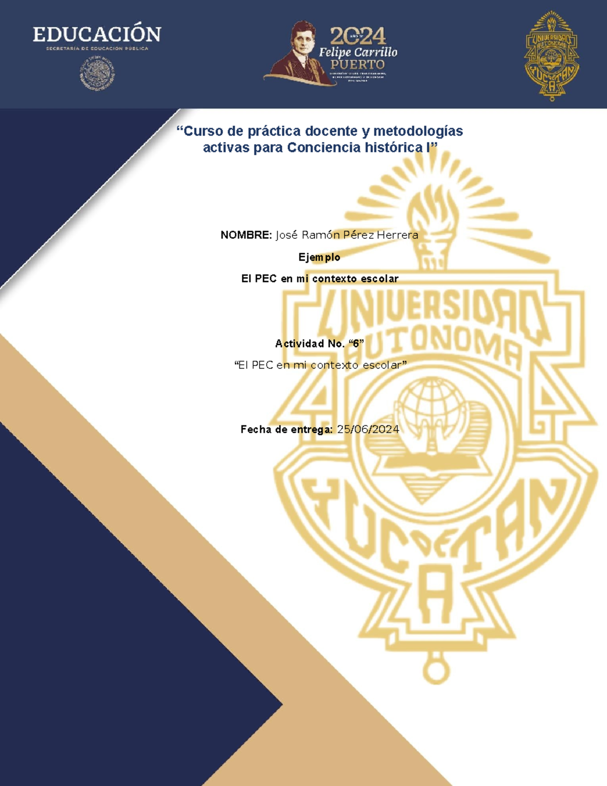 Ejemplo PEC - Programa Aula Escuela - “Curso de práctica docente y ...