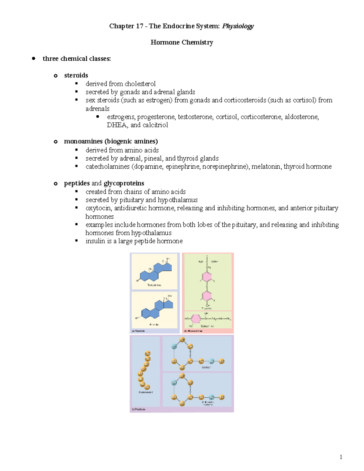 Chapter 17 - Physiology - Chapter 17 The Endocrine System: Physiology ...