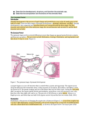 Module 1 - Module 1: Introduction to Perinatal Nursing Core Concepts ...