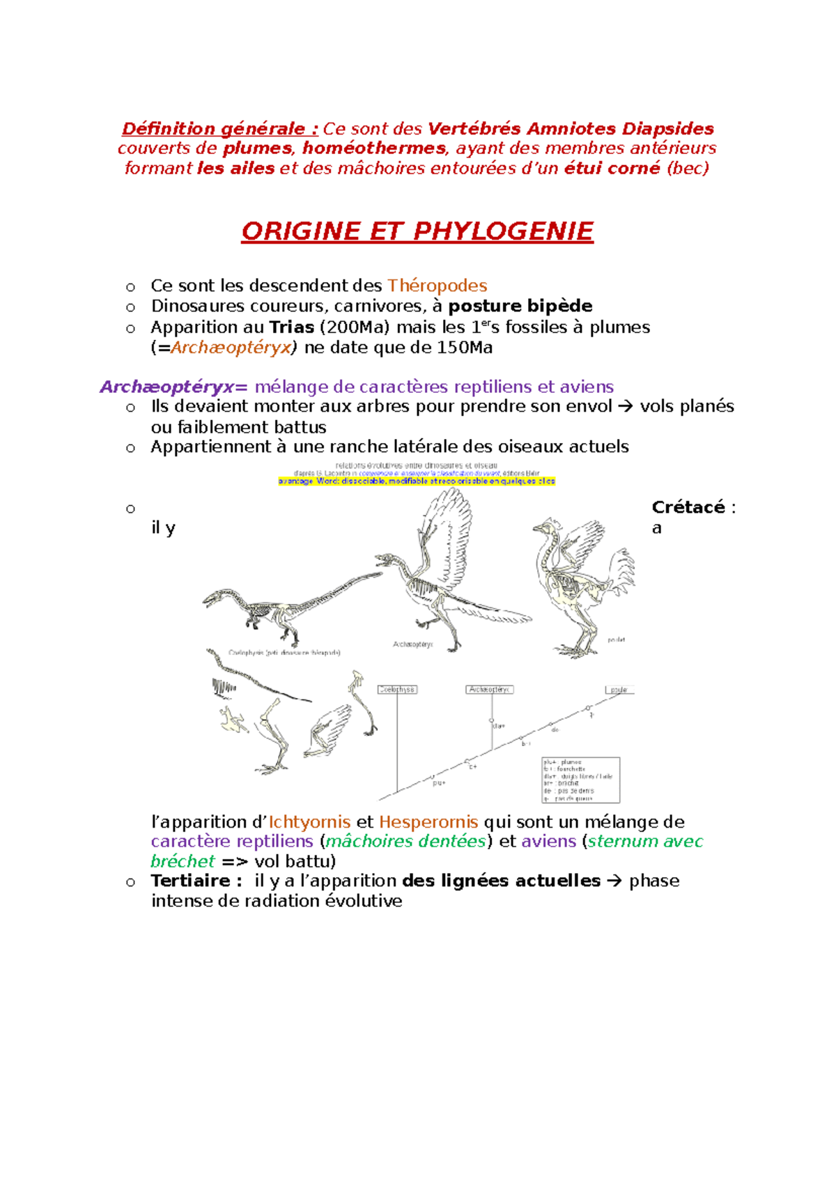 Chapitre 9 - Les Oiseaux - Définition générale : Ce sont des Vertébrés ...