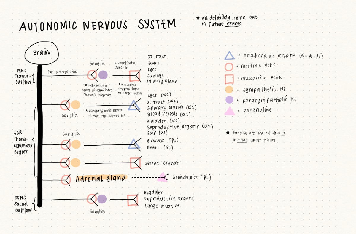 SNS and PSNS Summary (Including the Receptors and type of Receptors ...