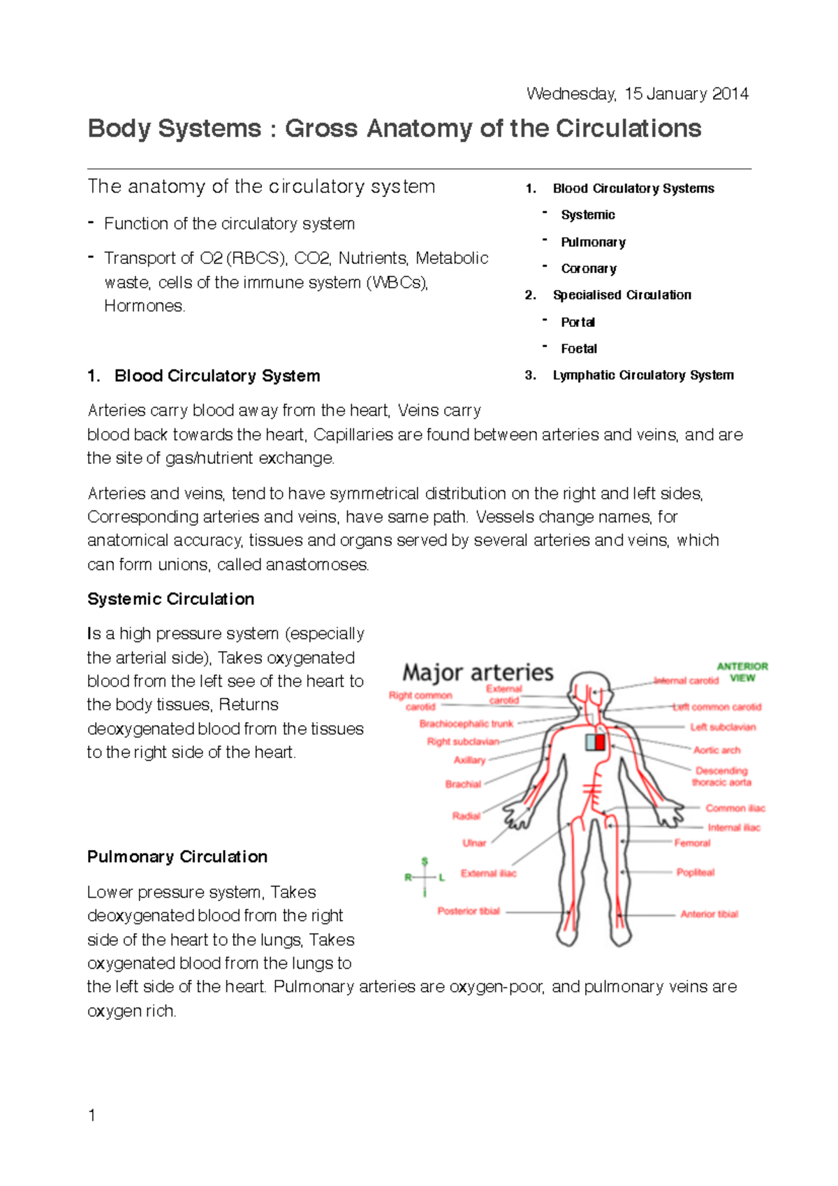 Lecture Notes Body Systems: Gross Anatomy of the Circulations - Warning ...