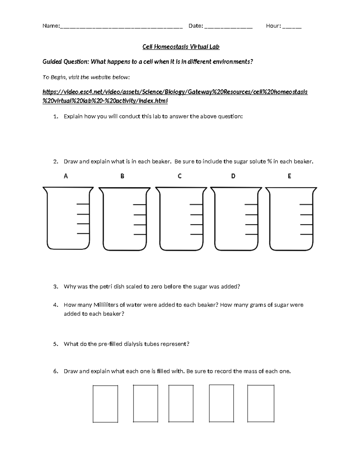 Cell-Homeostasis-Virtual-Lab - Name ...