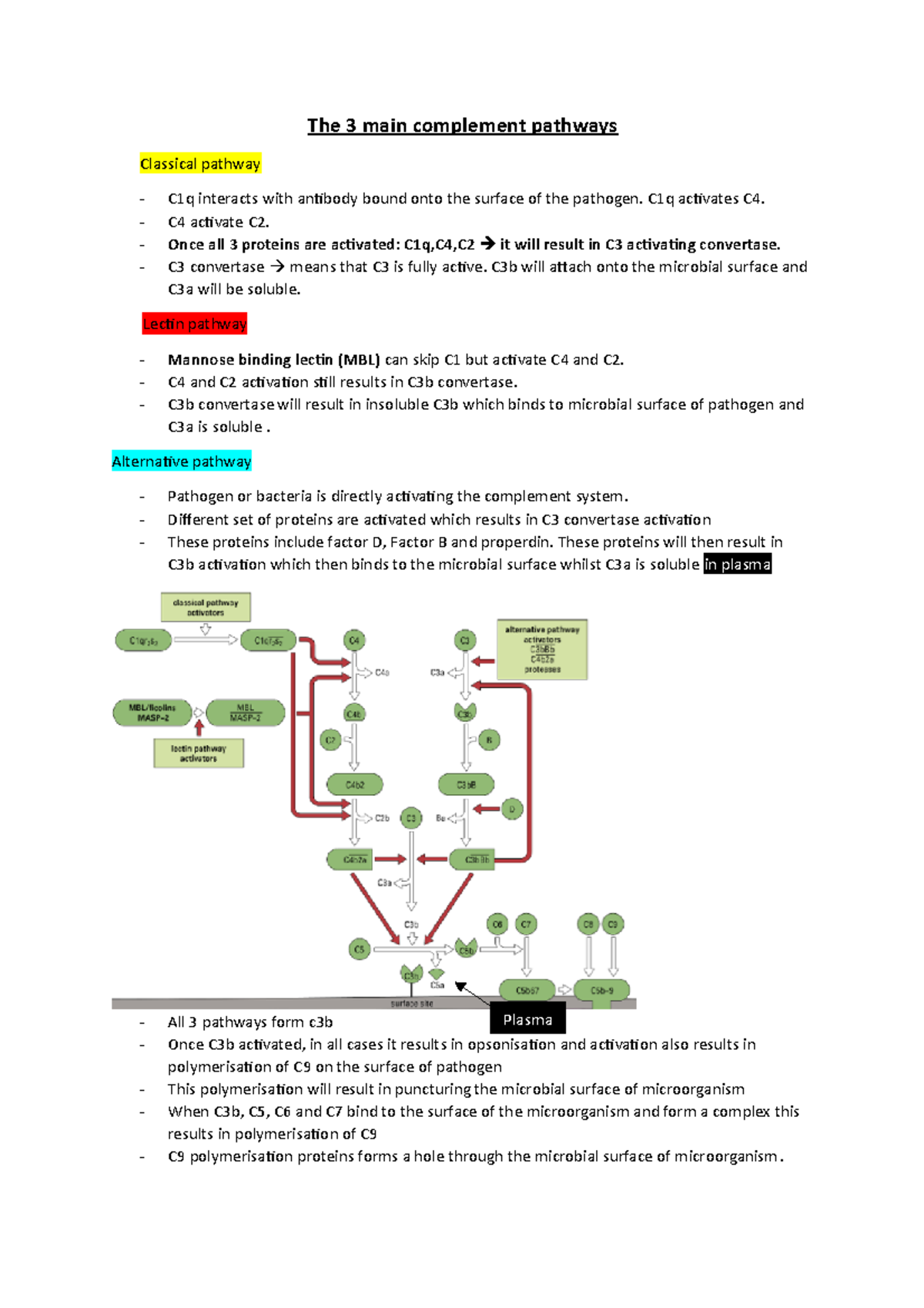 Lecture 2 the three complement pathways - The 3 main complement ...