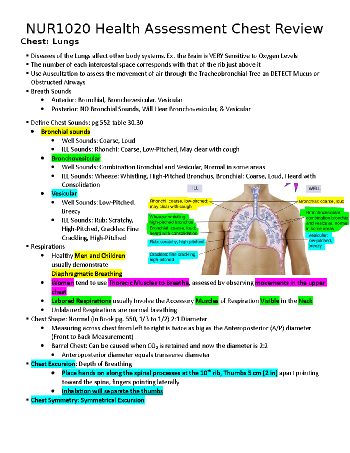 NUR1020 Health Assessment Chest Review - NUR1020 - Studocu