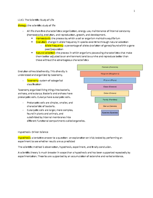 Chapter 1 The First Passage - African American History Chapter 1: The ...