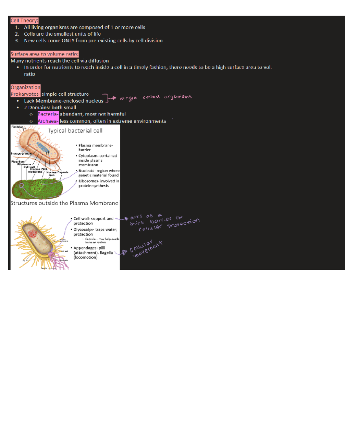 Biology 113 Cell Theory - BIO 113 - Studocu
