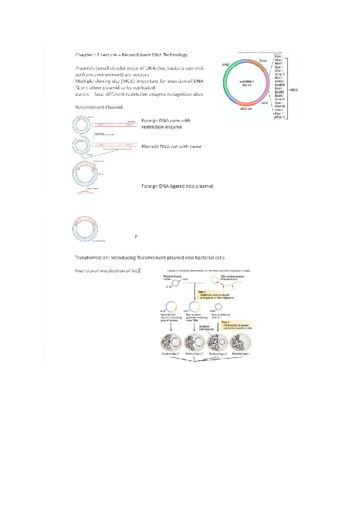 Chapter 12 Professor Croshaw Lecture Notes in detail and explained ...