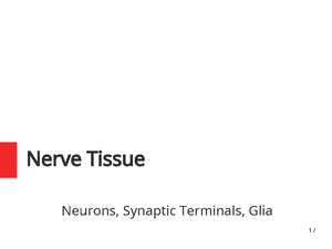 UCC DSE ESC 209 Methods of Teaching Chemistry Course Outline 07 ...