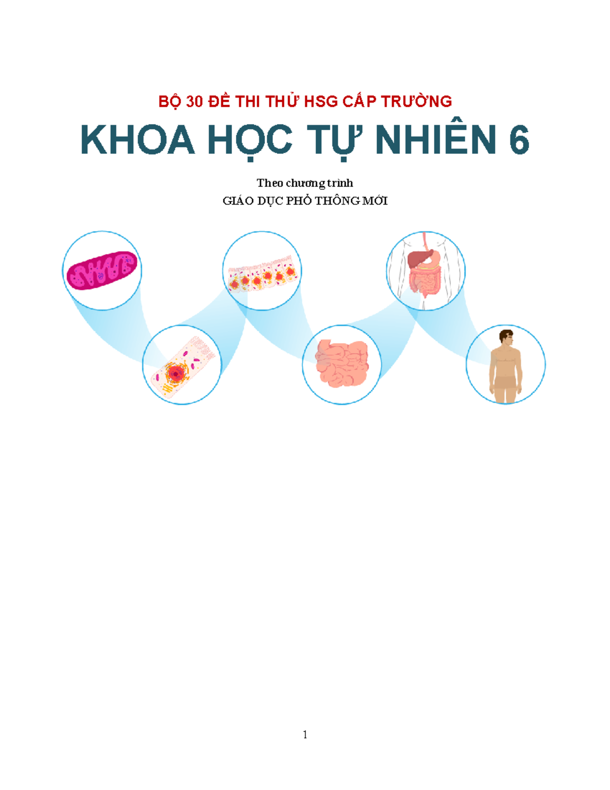 BỘ ĐỀ THI HSG KHTN 6 - TOÁN - BỘ 30 ĐỀ THI THỬ HSG CẤP TRƯỜNG KHOA HỌC ...