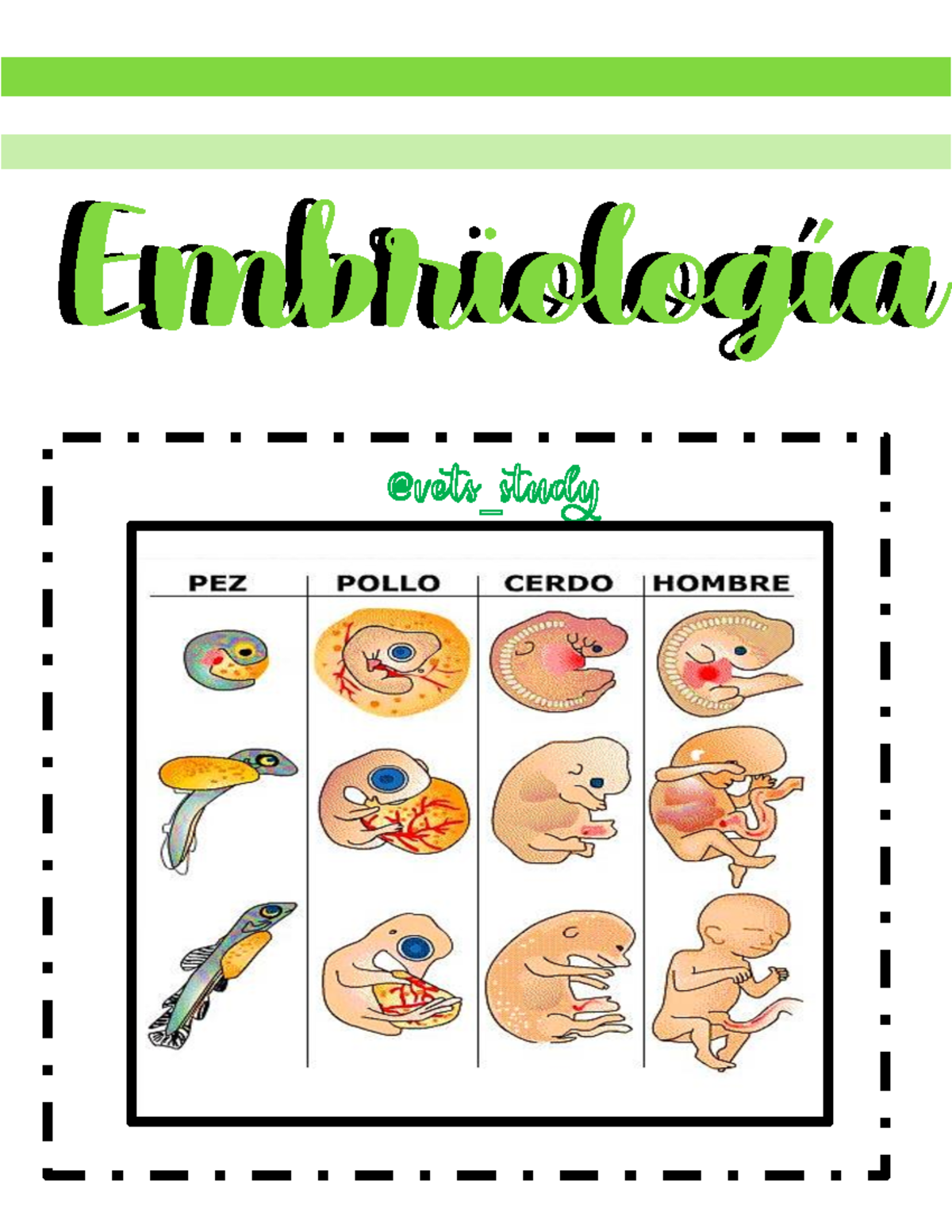 Embriología - La embriología es una rama de la biología, que se encarga ...