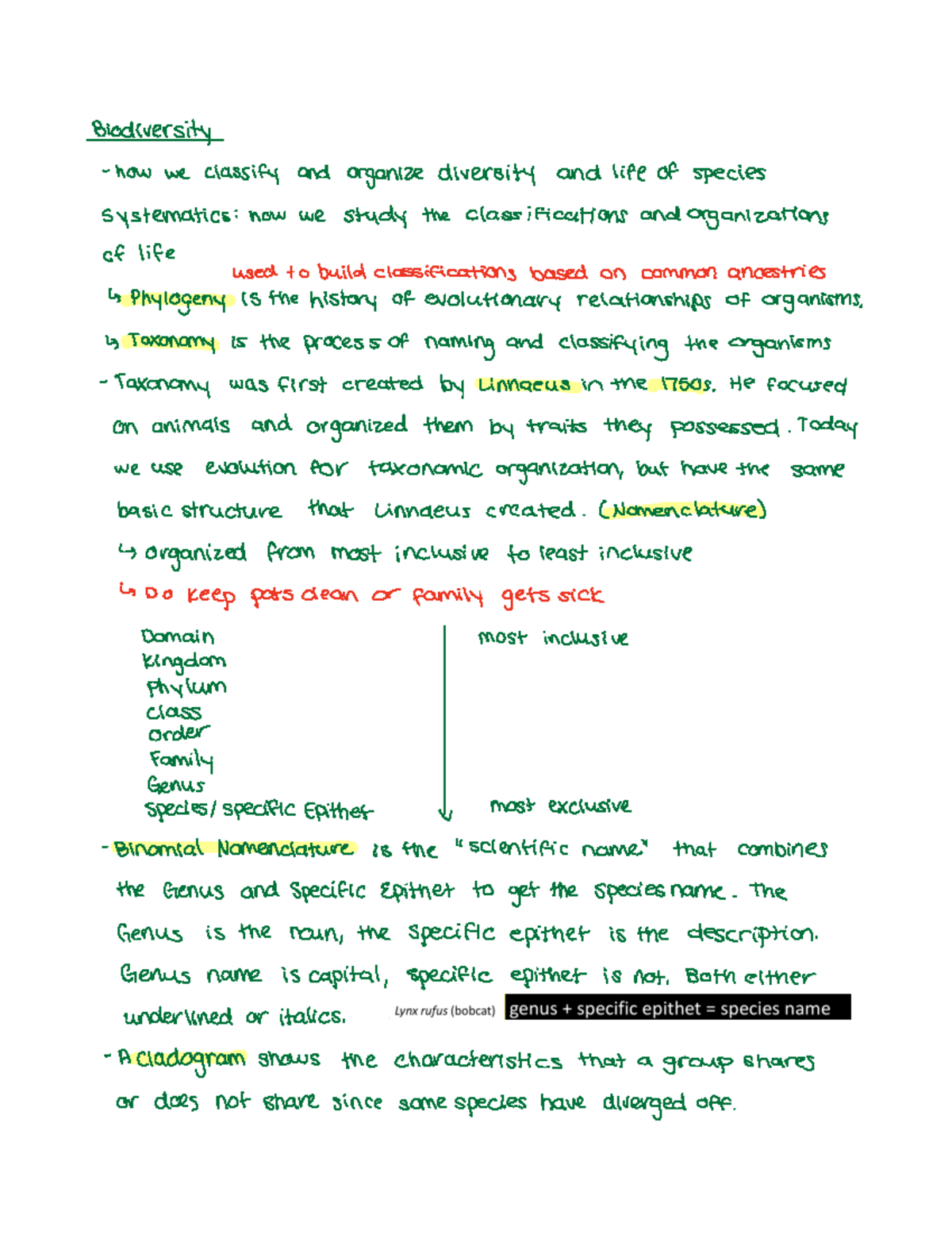 Review 3 - study guide - Biodiversity how we classify and organize ...