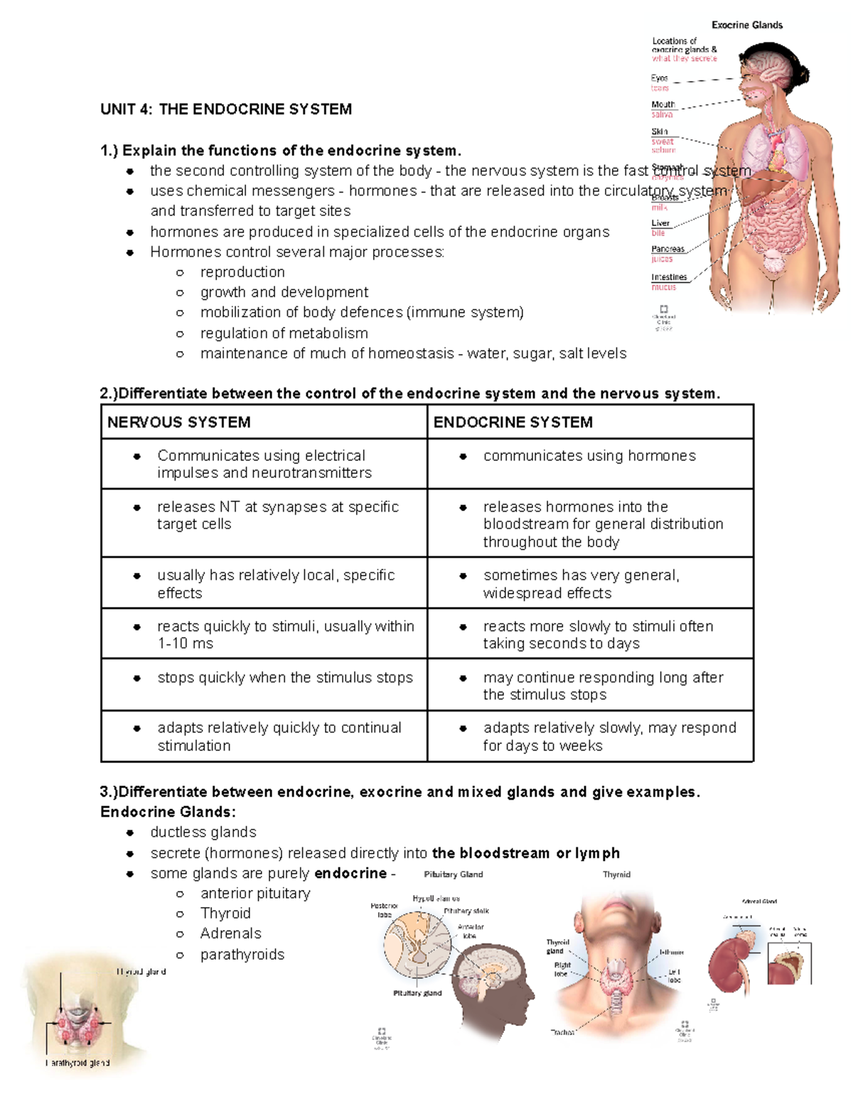 ANAT 1053 - Endocrine System - UNIT 4: THE ENDOCRINE SYSTEM 1.) Explain ...