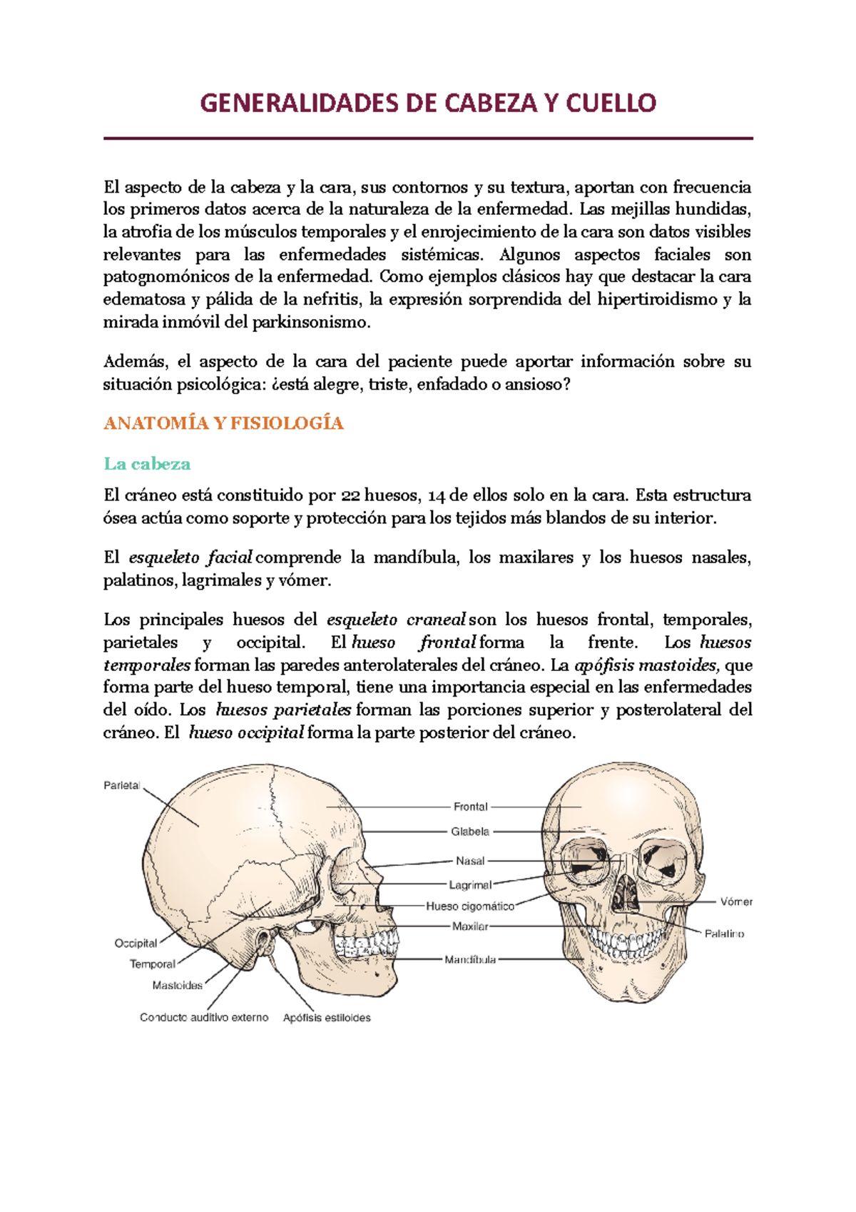 Generalidades DE Cabeza Y Cuello - GENERALIDADES DE CABEZA Y CUELLO El aspecto de la cabeza y la ...