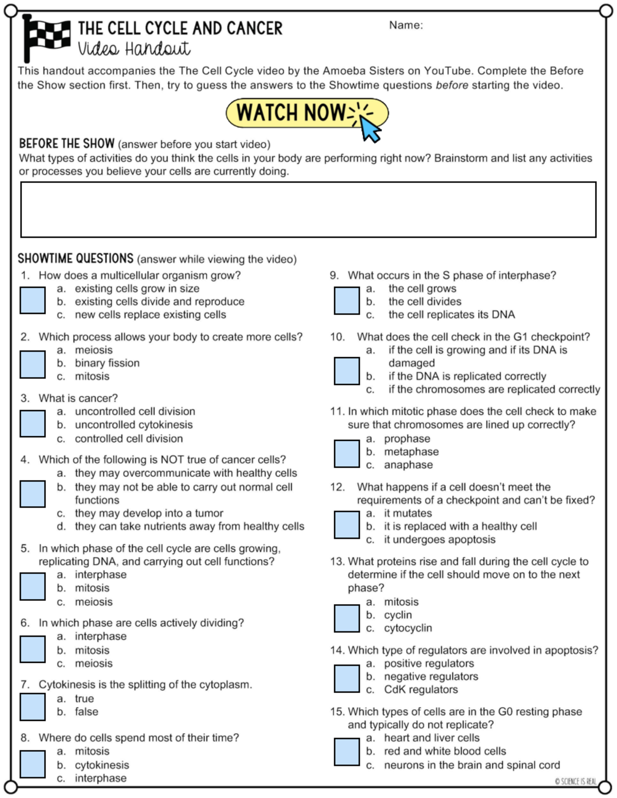 Copy+of+Cell+Cycle+and+Cancer+Amoeba+Sisters+Video+Handout - THE CELL ...