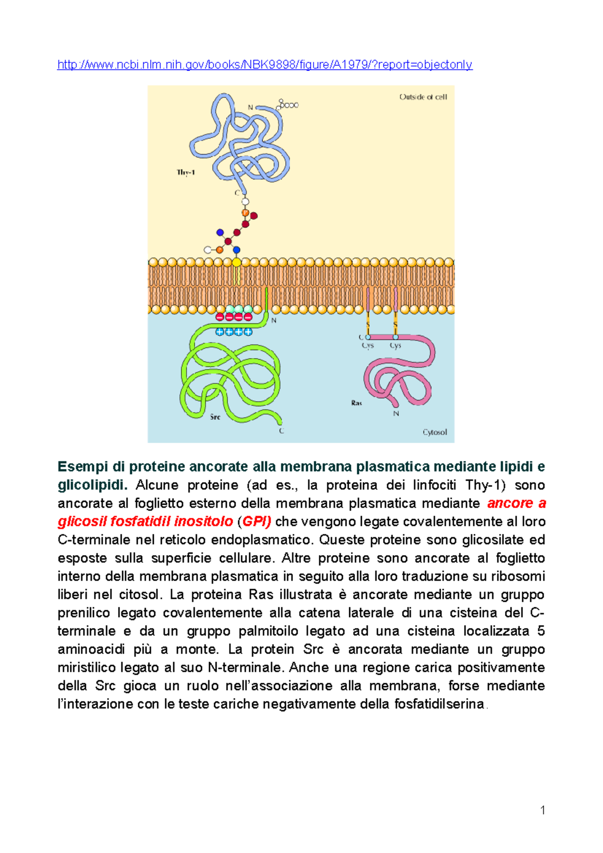 Ancore lipidiche - ncbi.nlm.nih/books/NBK9898/figure/A1979/?report ...