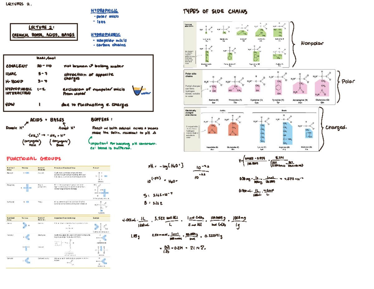 Lecture 2 - LECTURES 2, - HYDROPHILIC TYPES OFSIDE CHAINS - polar mics ...