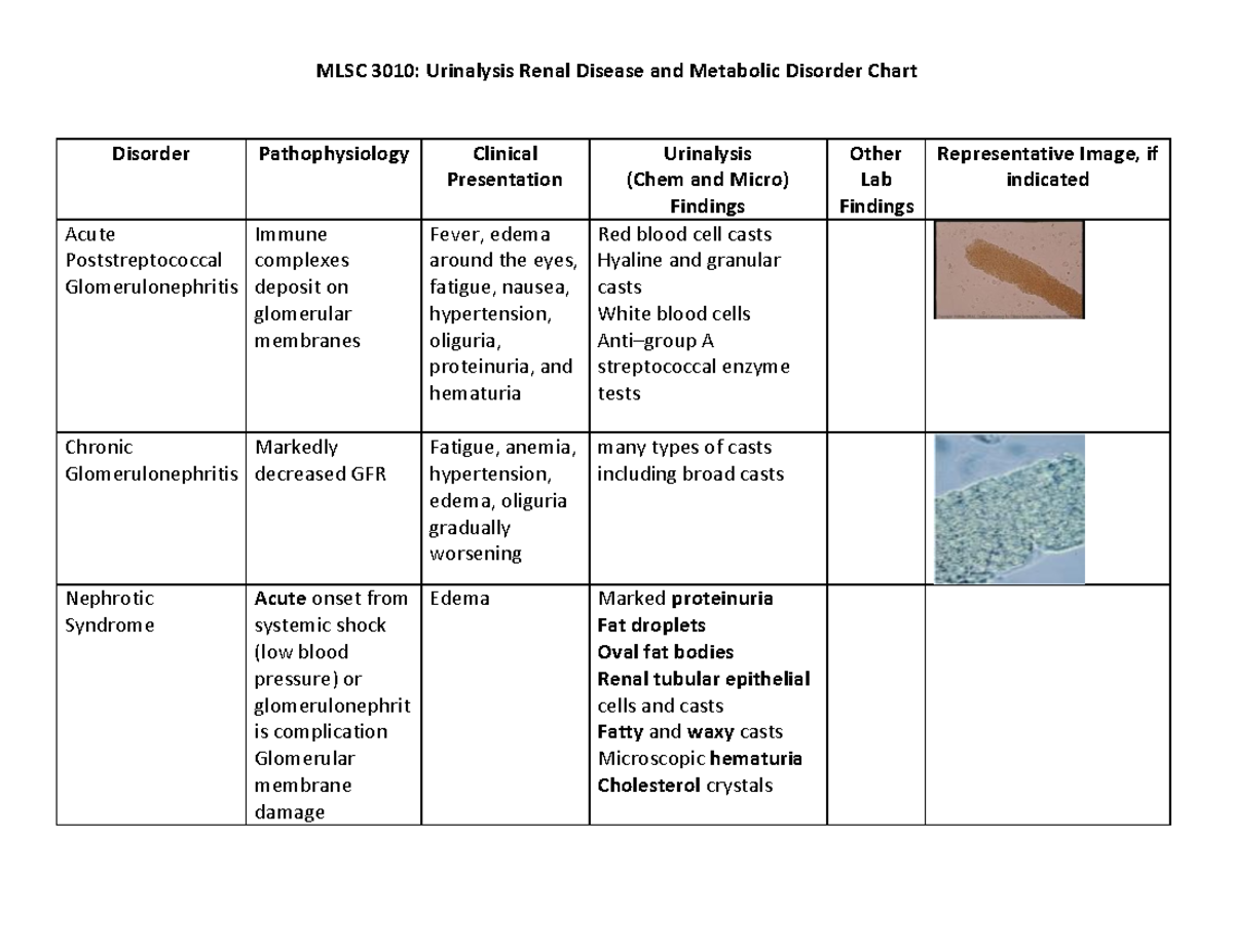 Mc Broom Karsen MLSC 3010 Renal Chart Fall 2021 - MLSC 3010: Urinalysis ...