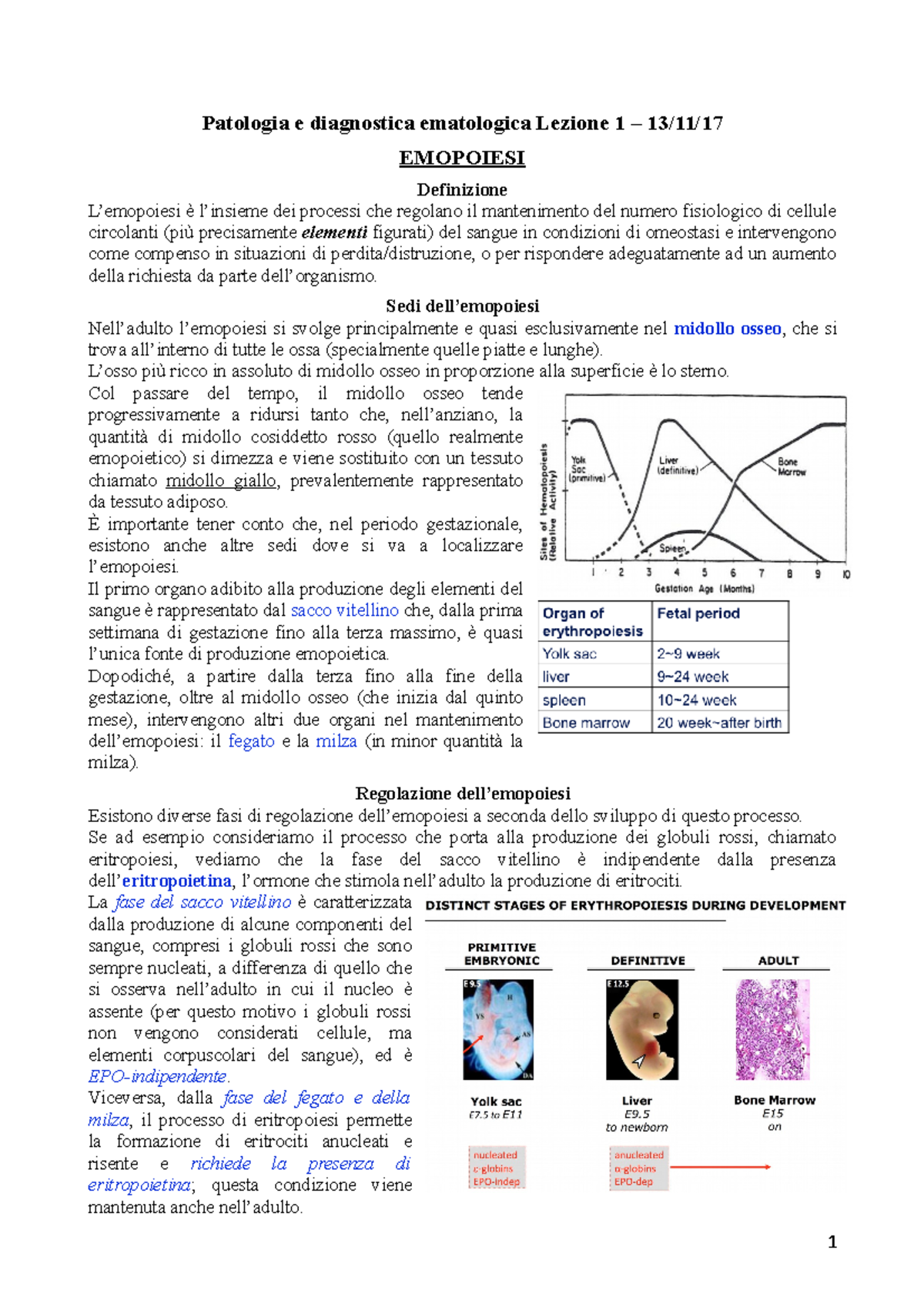 Lezione 1 Emopoiesi - Ematopoiesi, definizione, sedi, regolazione ...