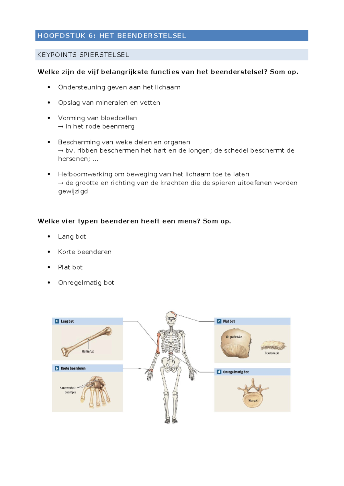 Het beenderstelsel - Samenvatting Anatomie en Fysiologie: een inleiding ...