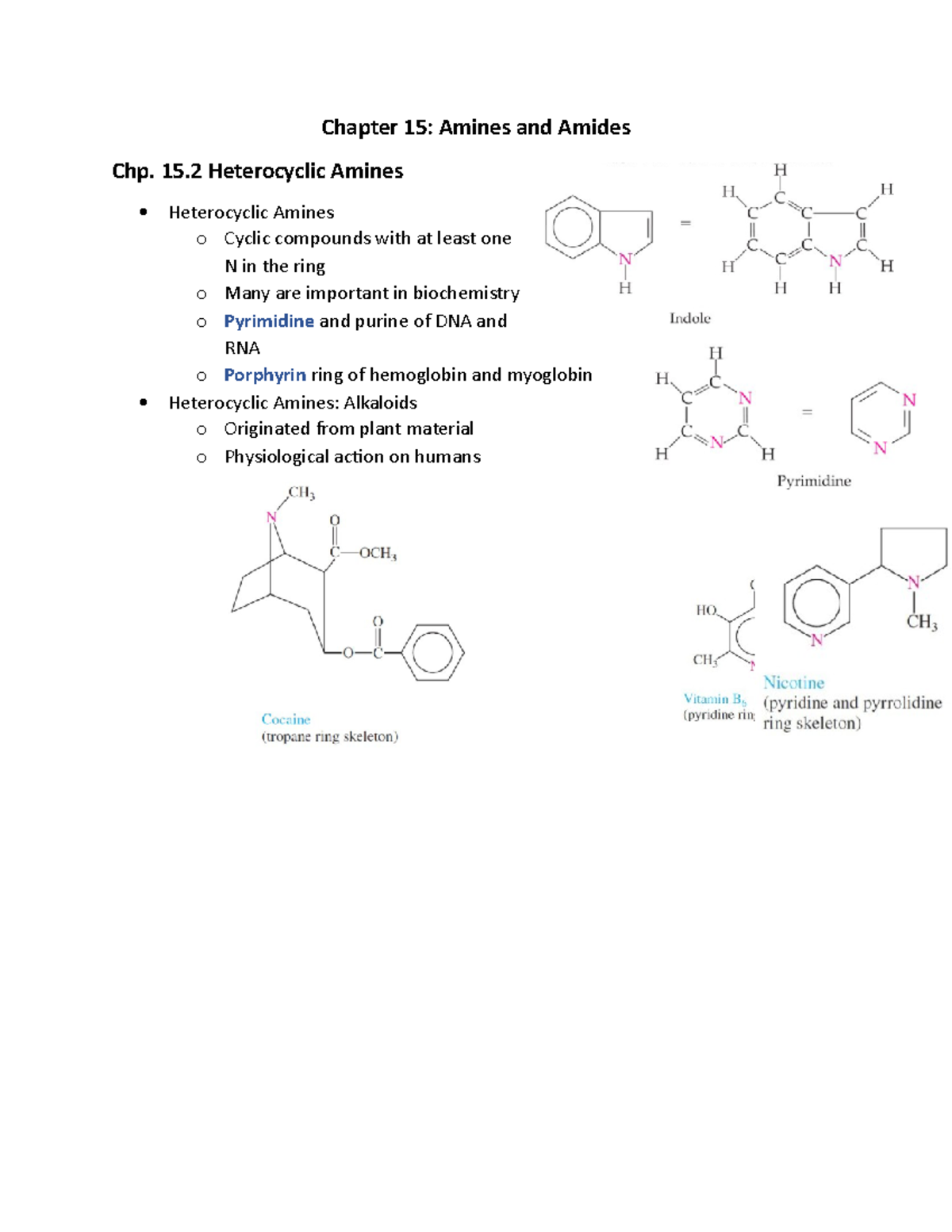 Chapter 15 section 2: Heterocyclic Amines - MATH 2008 - Chapter 15: Amines and Amides Chp. 15 ...