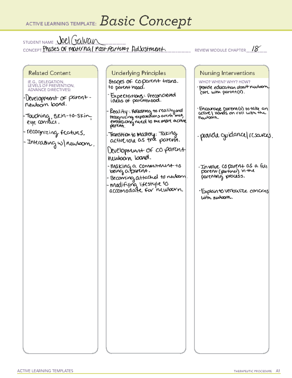 Jgalvan ALT (16:20) - Active learning template Mom Baby - NUR2513 ...