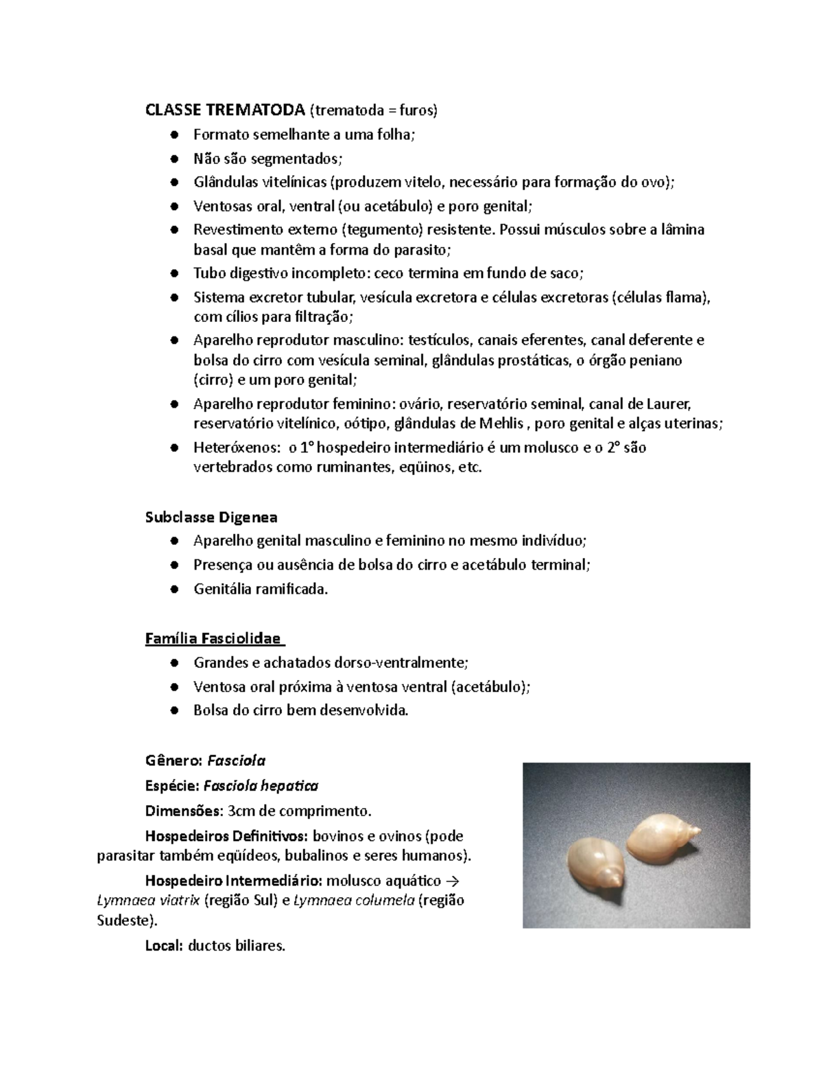 Platyhelminthes- Classe Trematoda - CLASSE TREMATODA (trematoda furos ...