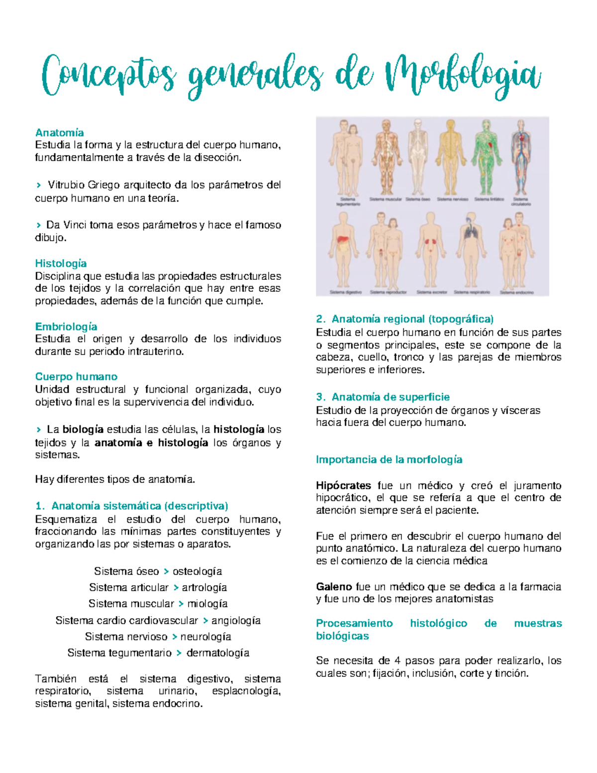 Generalidades anatomia - Warning: TT: undefined function: 32 Conceptos generales de Morfologia ...