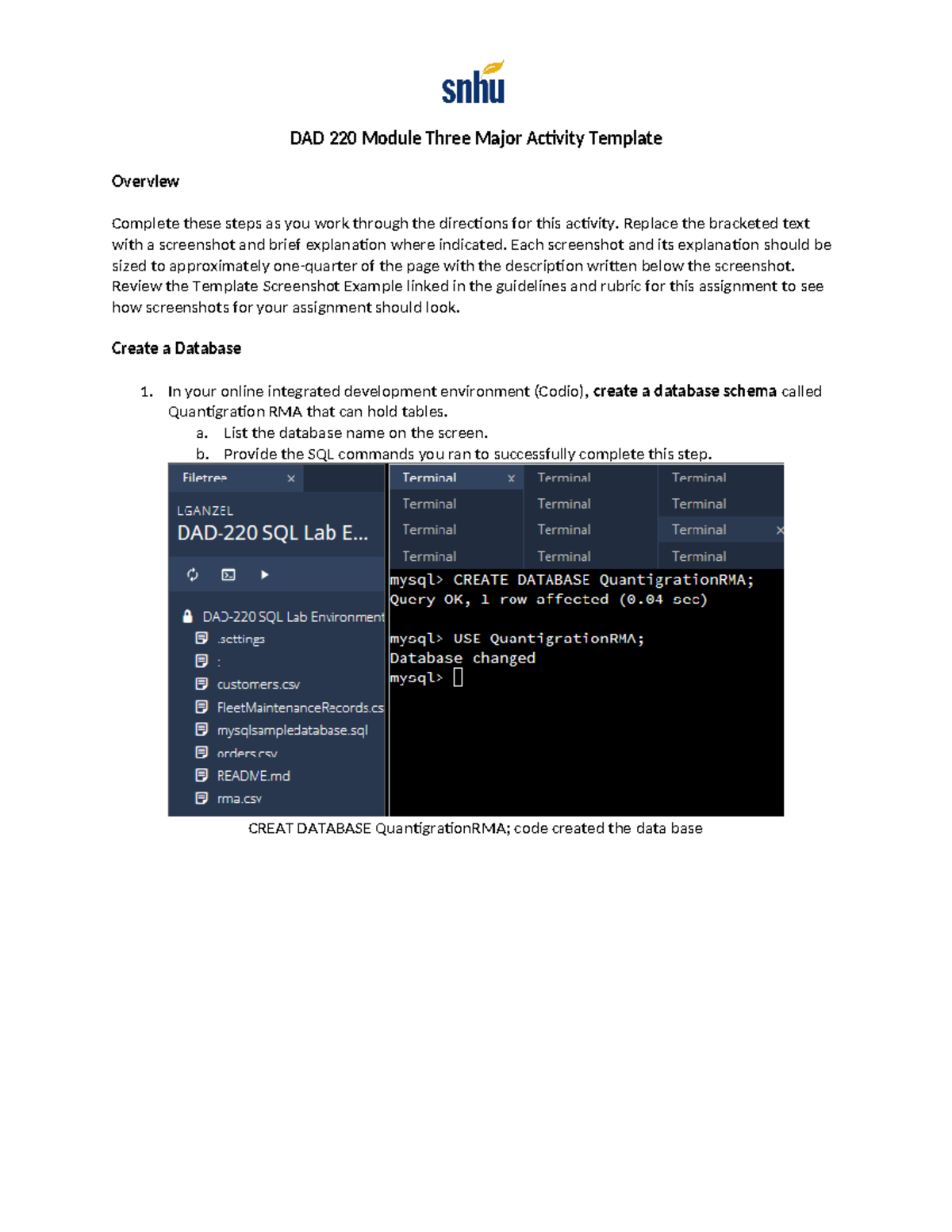 DAD 220 Module Three Major Activity Template - DAD 220 Module Three Major Activity Template ...