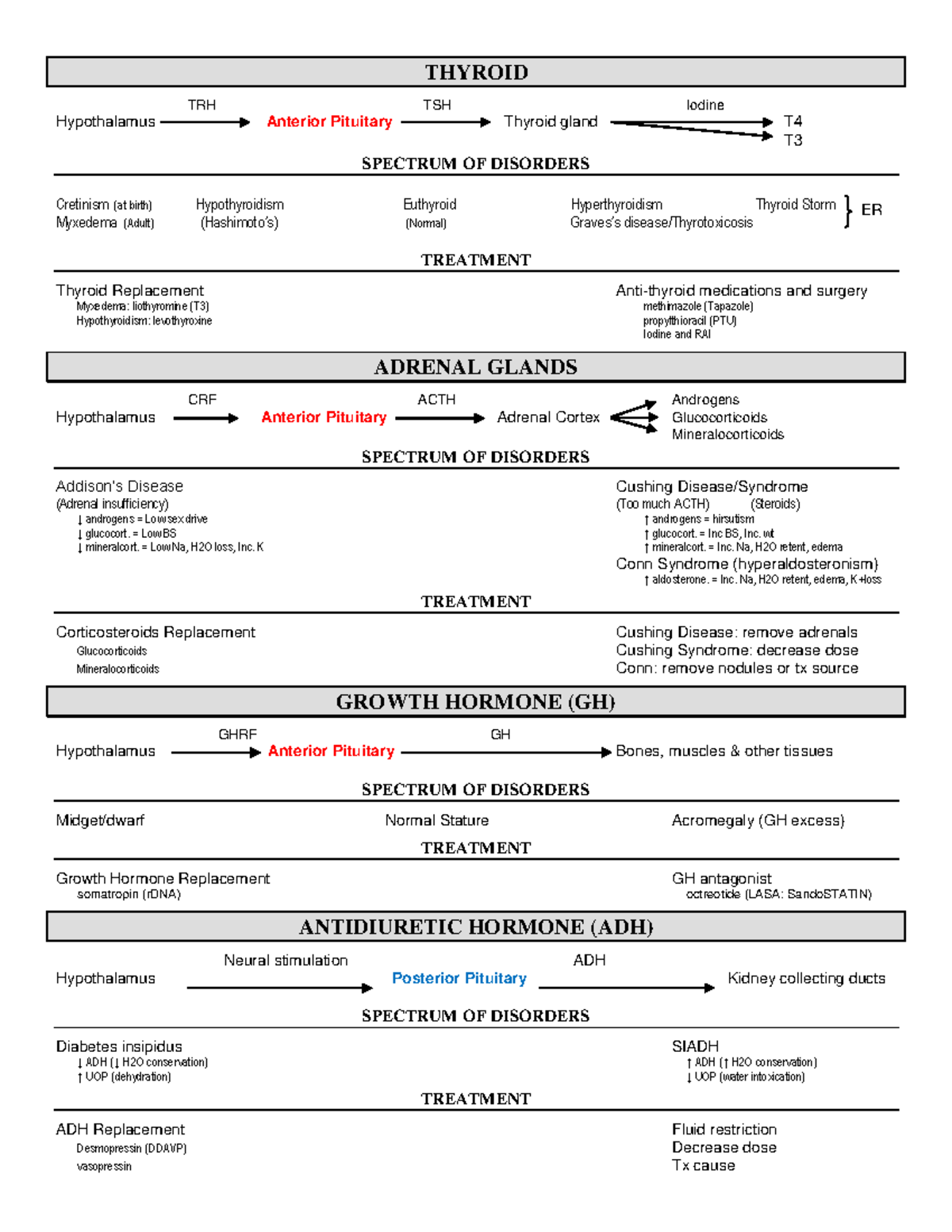 Endocrine Summary Chart - ER THYROID TRH TSH Iodine Hypothalamus ...