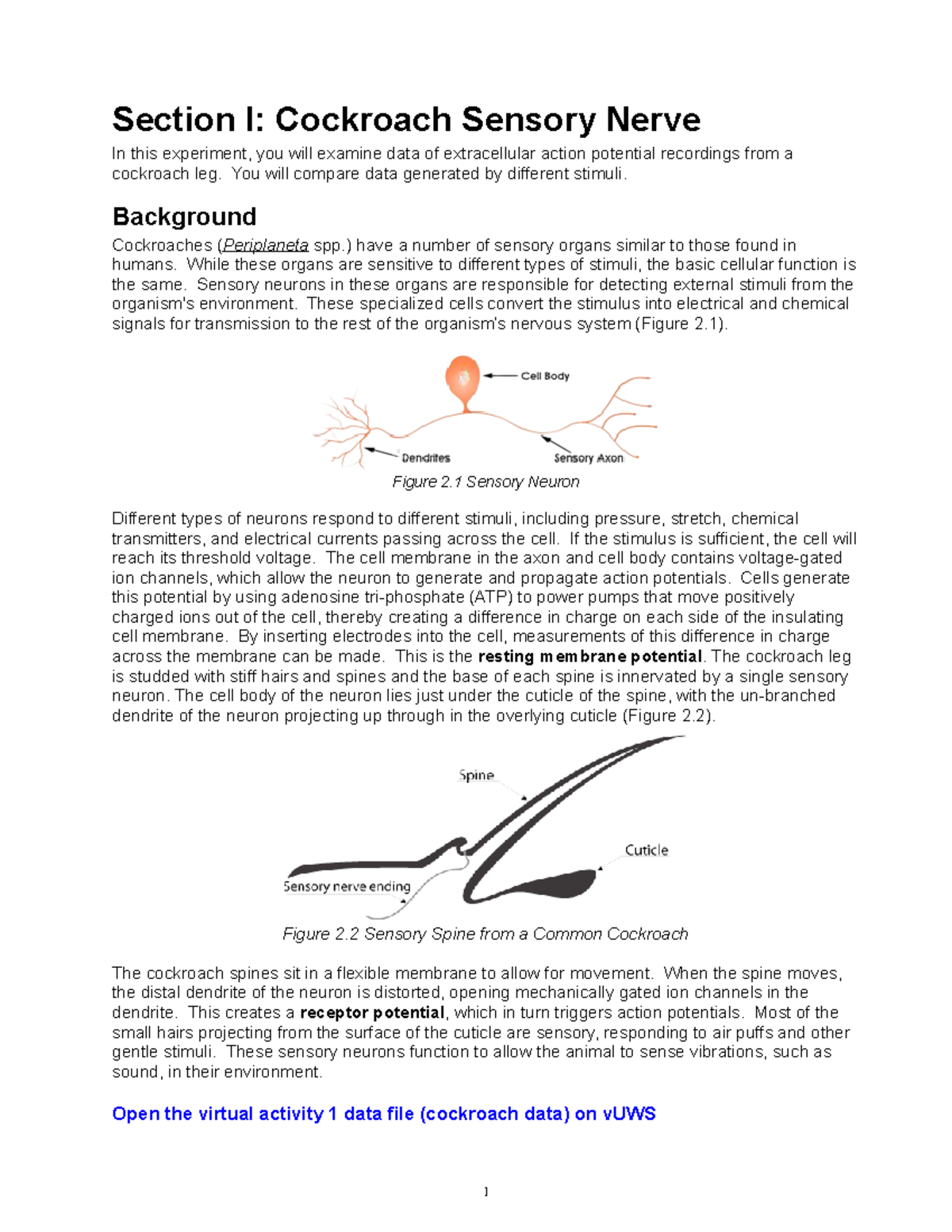 Adv Phys Prac 4 online - Section I: Cockroach Sensory Nerve In this ...