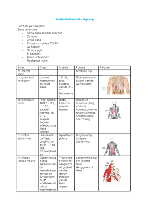 Musculoskeletal clinical translation framework - MSK Clinical ...