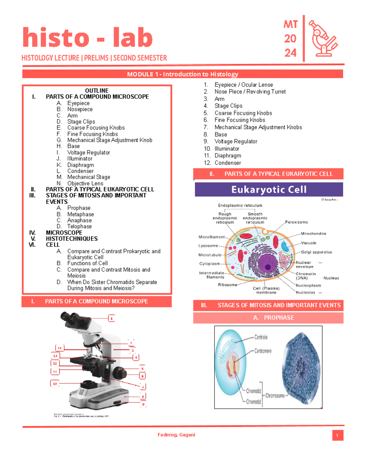 Histo Lab Week 1 - hemahema - histo - lab HISTOLOGY LECTURE | PRELIMS ...