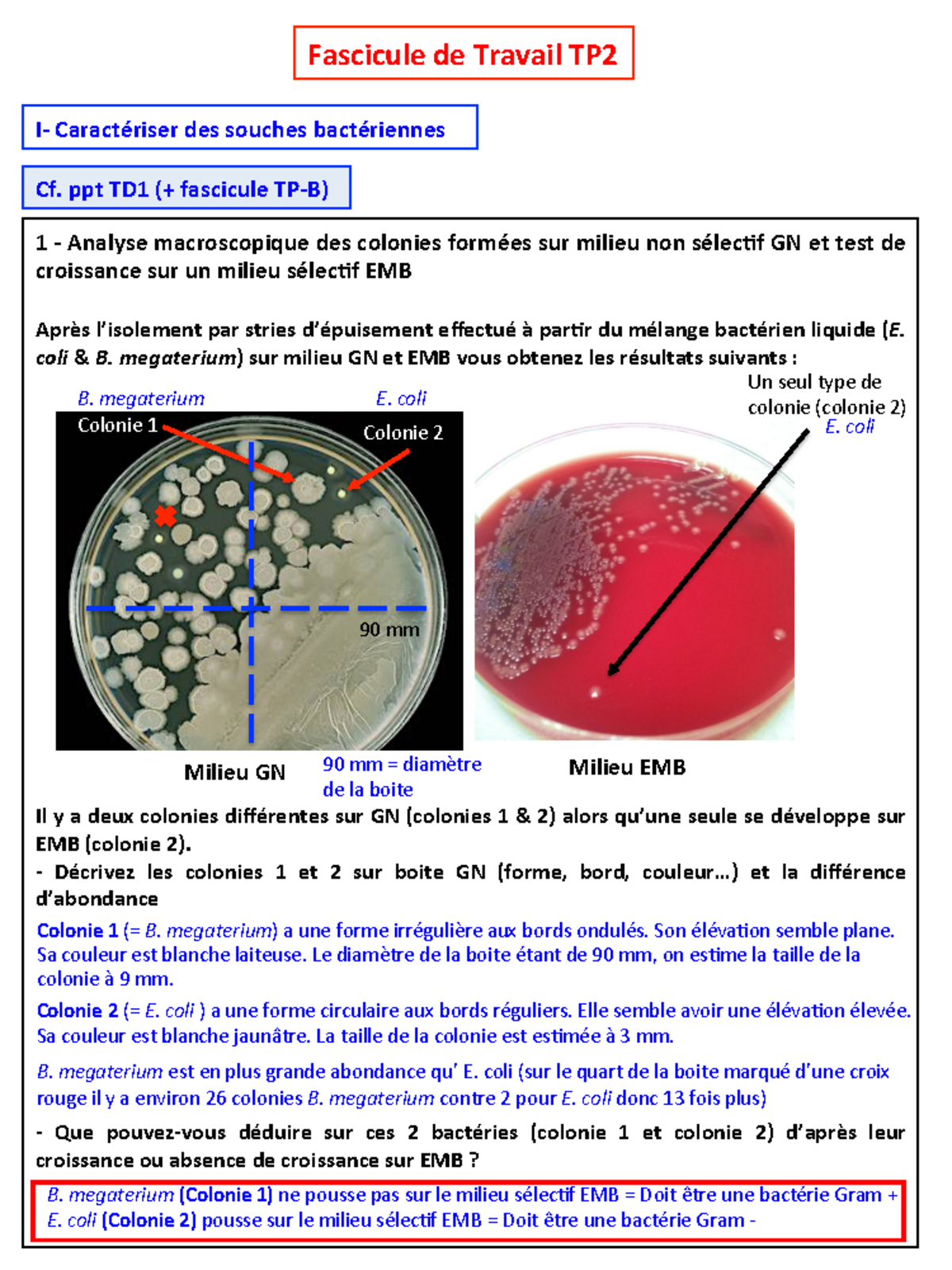 Fascicule de travail TP2 corrigé - Fascicule de Travail TP2 I- Caractériser des souches ...