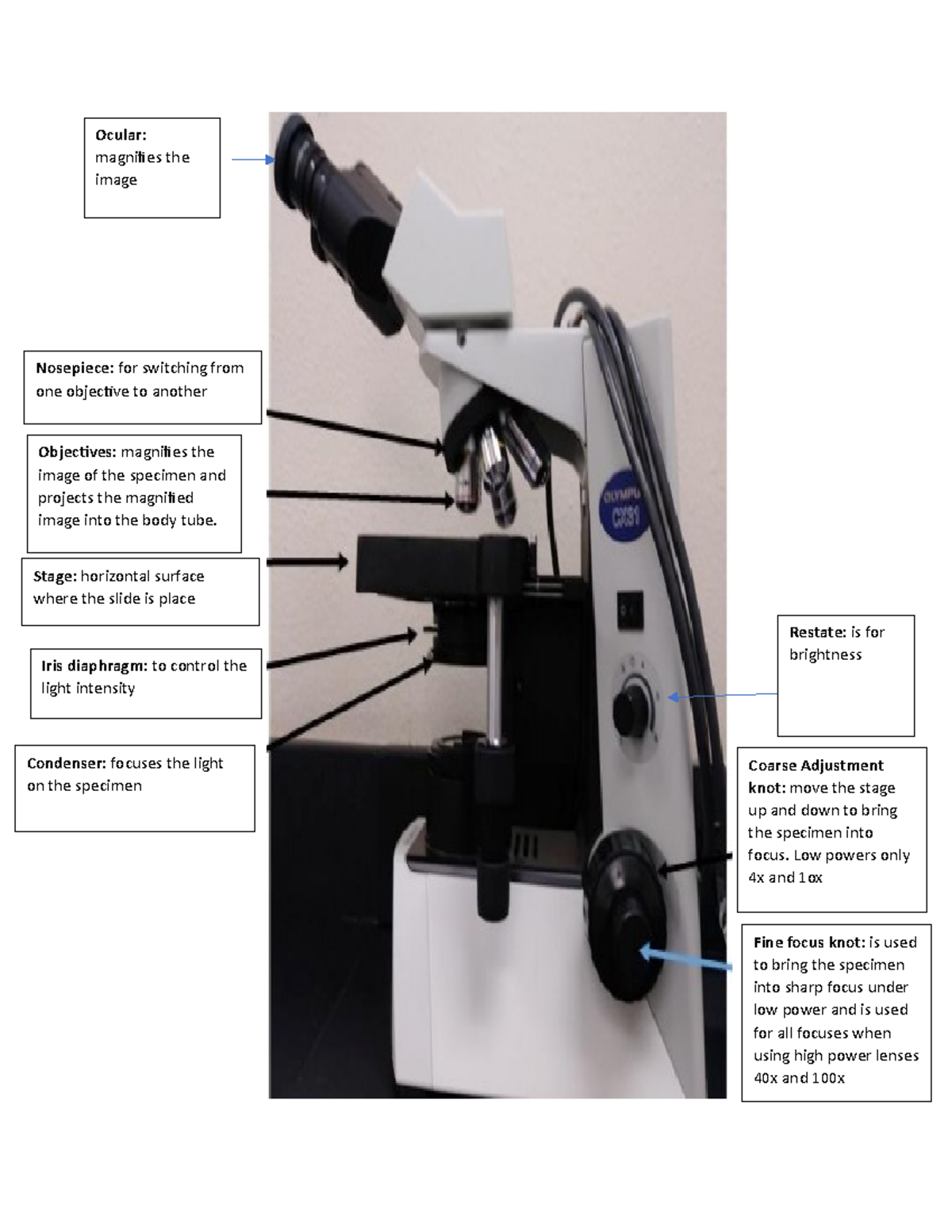 Part of a microscope - Study guide for MCB LAb exam 1 - Coarse ...