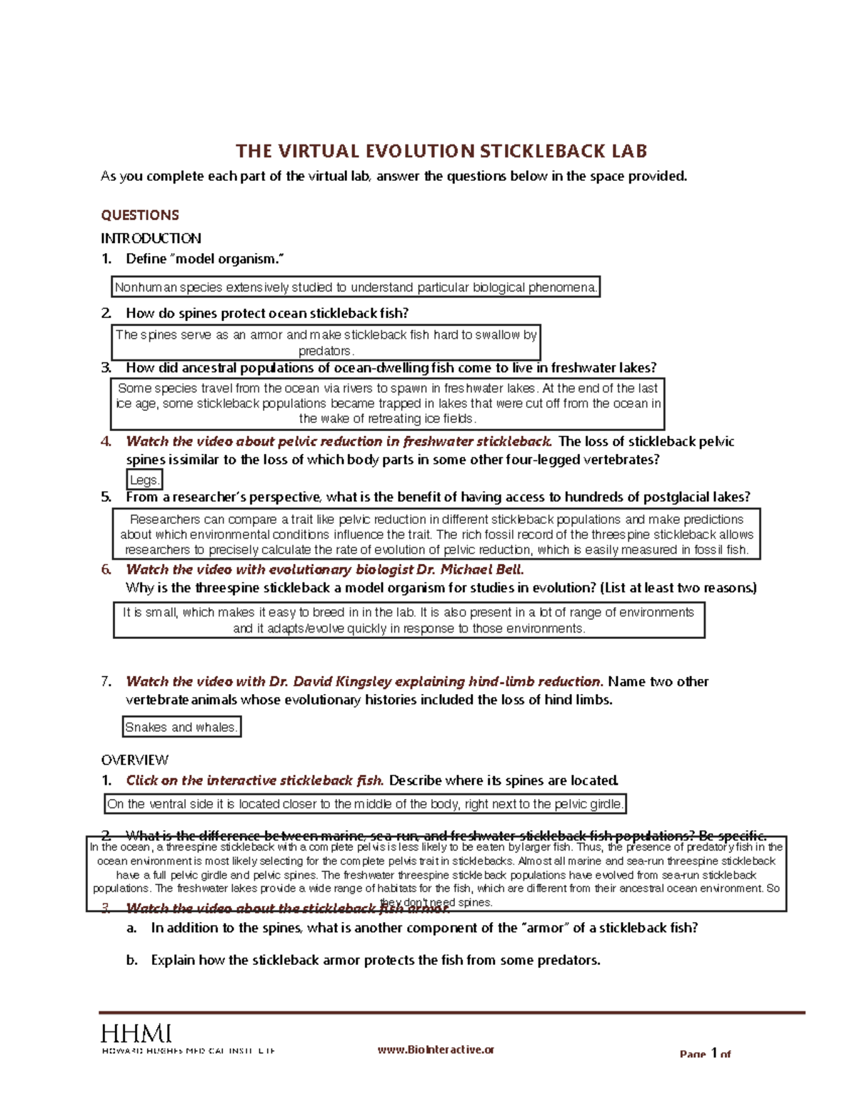 Stickleback Basic%20Lab Student (1)-2 - WORKSHEET STUDENT ...
