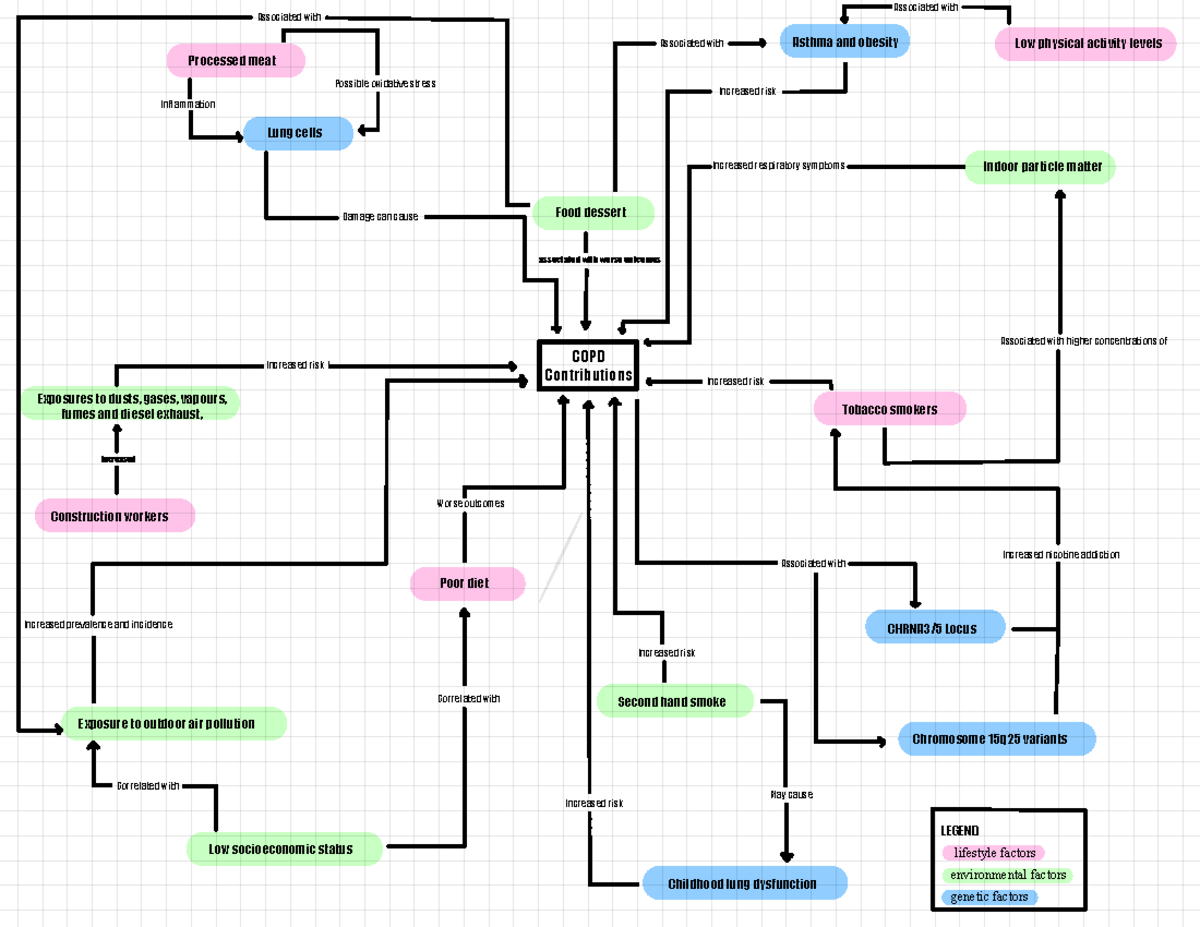 Biol 1080 Ia Flowchart - COPD Contributions LEGEND lifestyle factors ...