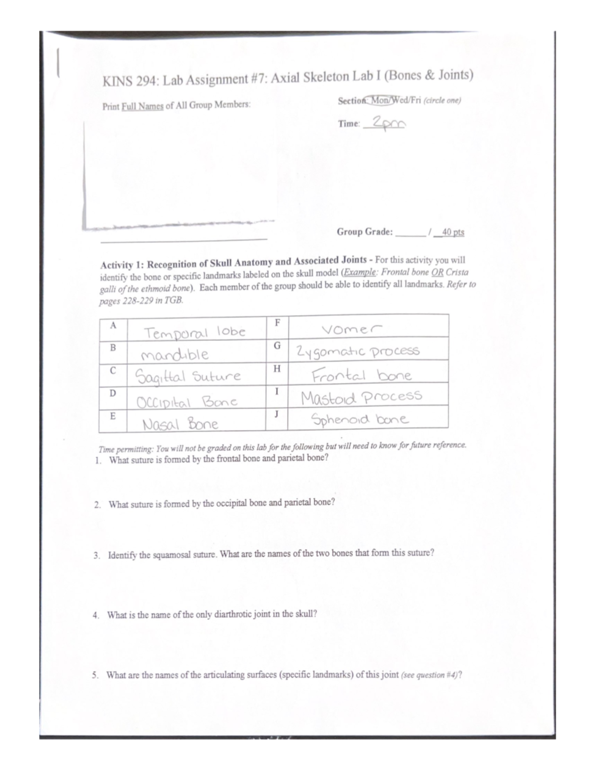 KINS 294 Lab Assignment #7 Axial Skeleton Lab I (Bones and Joints) 2 ...