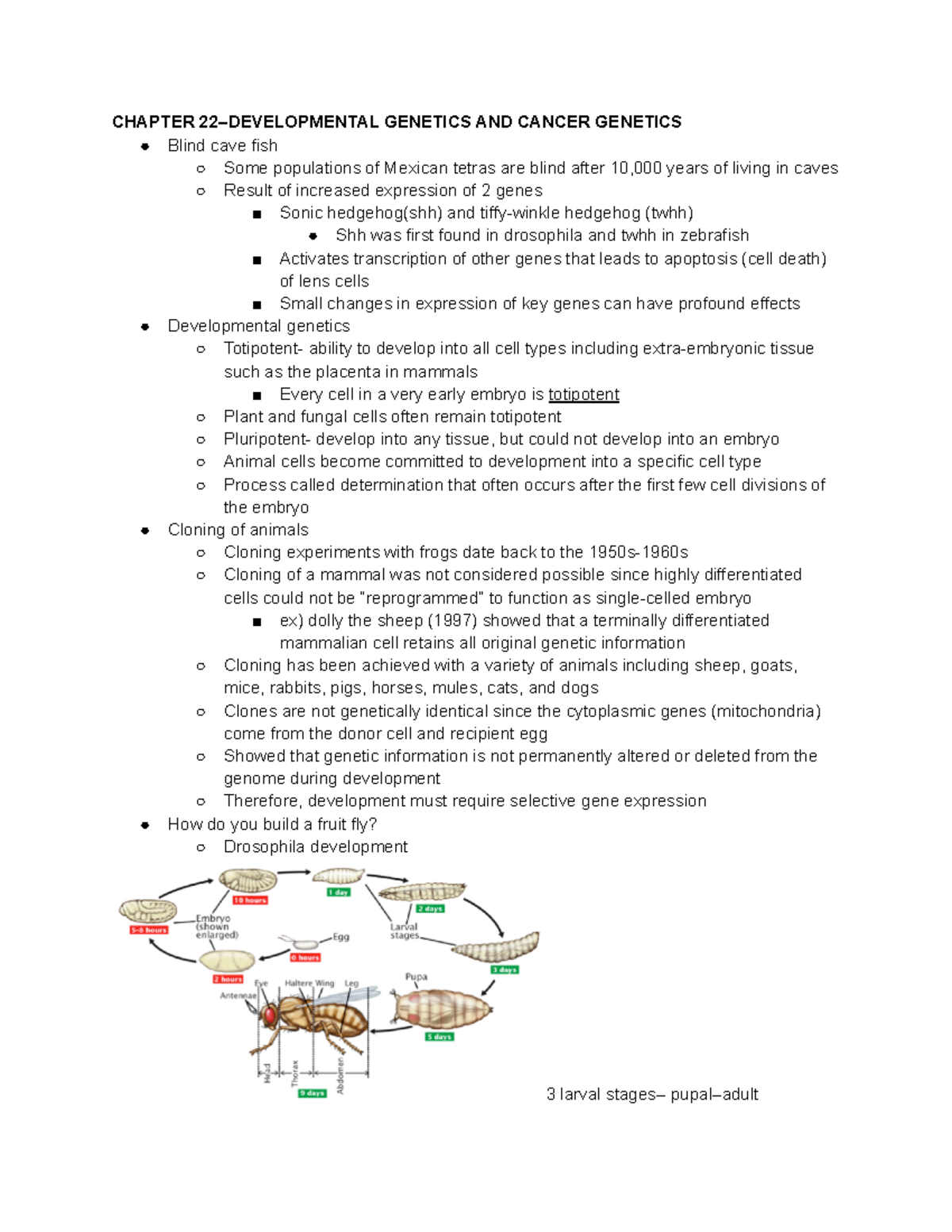 Genetics Chapter 22 Notes Part 1 - CHAPTER 22–DEVELOPMENTAL GENETICS ...