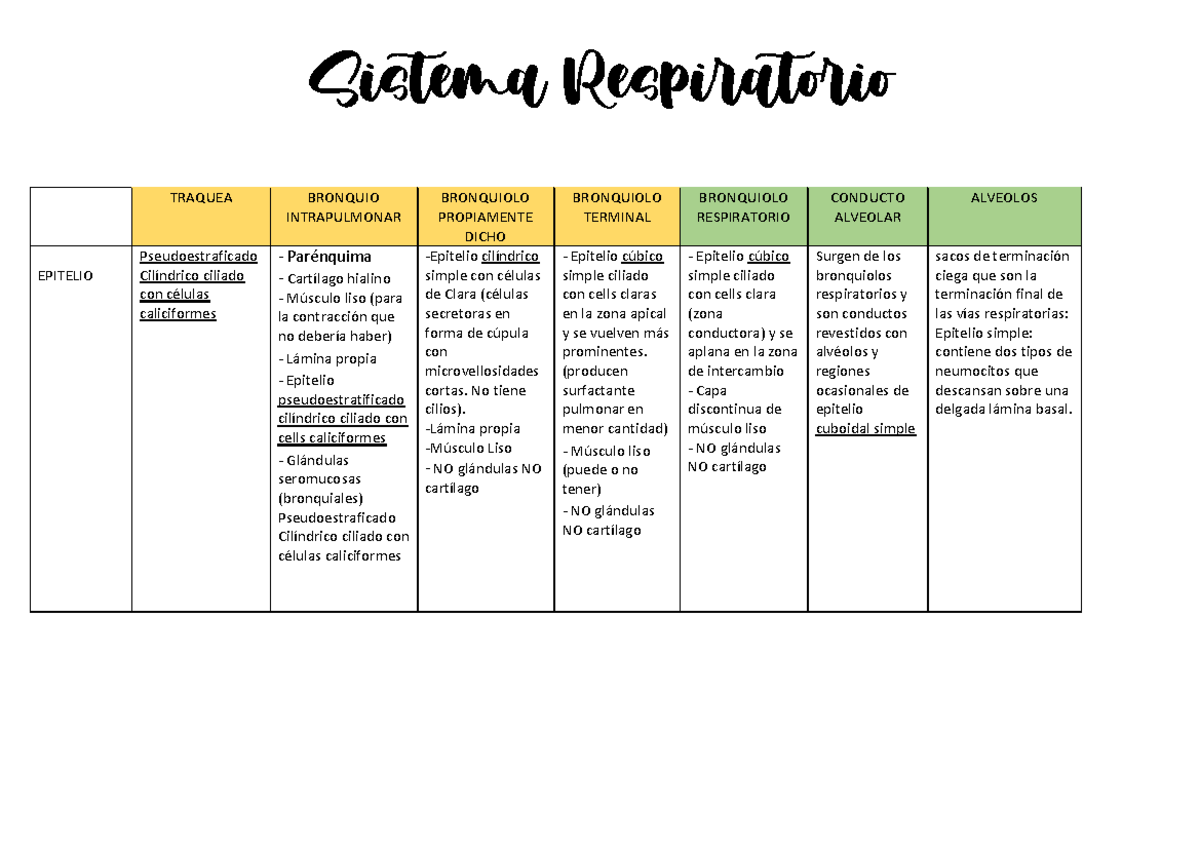 Histología aparato respiratorio, digestivo y cardiovascular - Warning: TT: undefined function ...