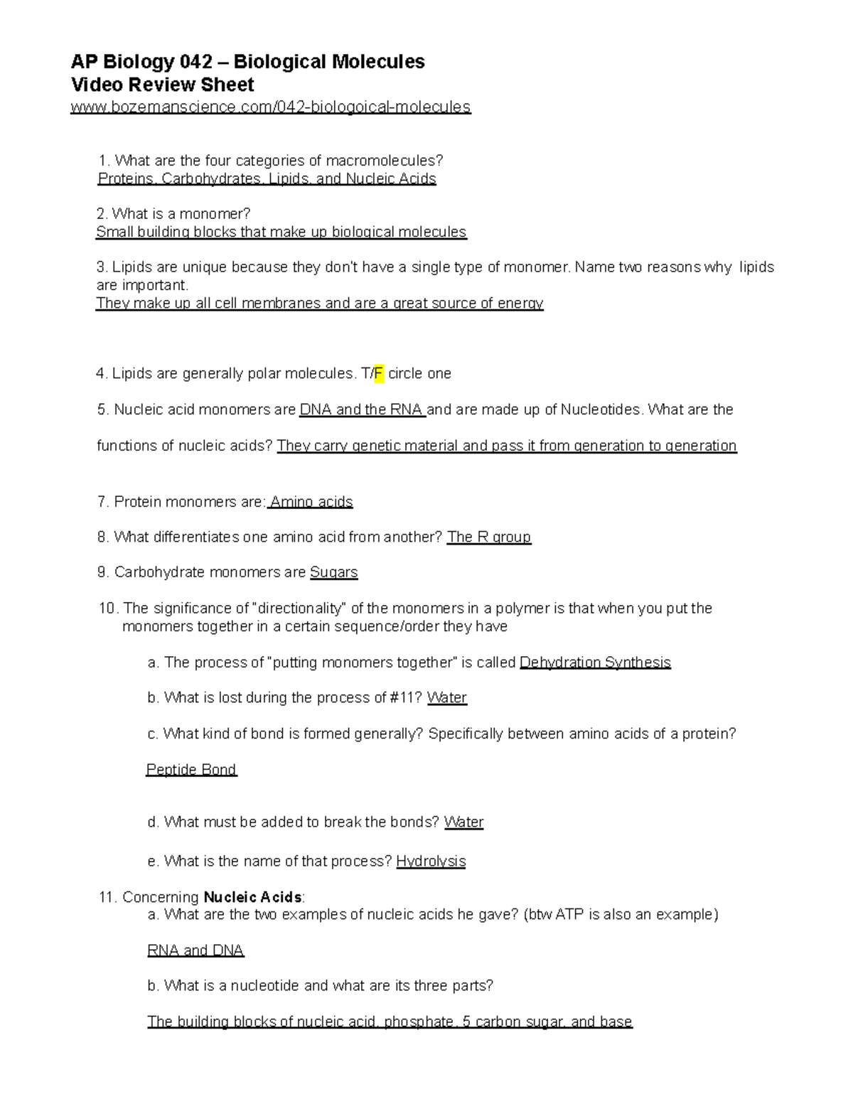 AP+Bio-042+Biological+Molecules+Worksheet-WL - AP Biology 042 ...